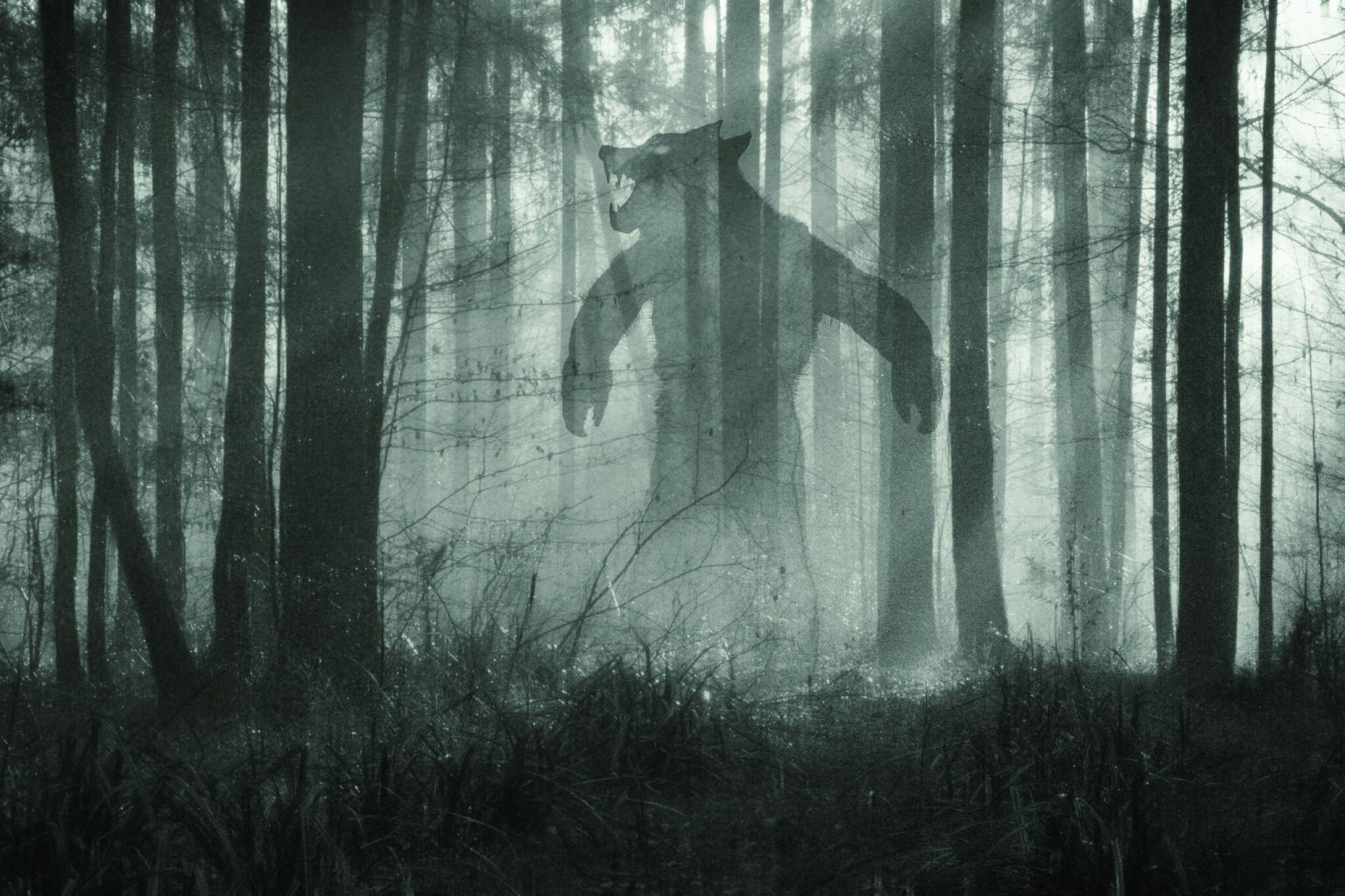The Legend of the Michigan Dogman: A Ten-Year Cycle of Fear and ...