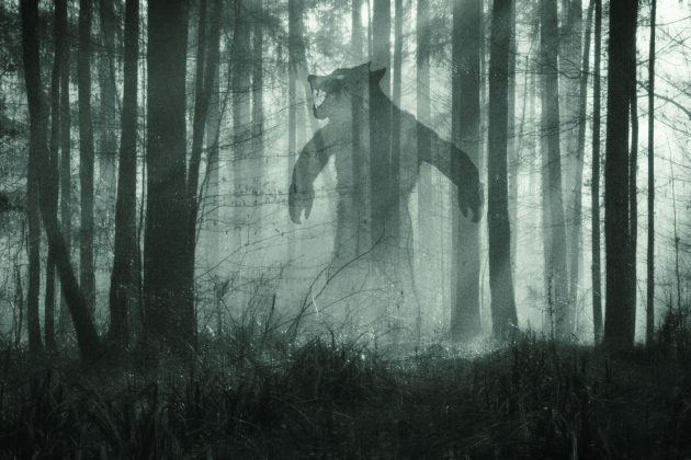 The Legend of the Michigan Dogman: A Ten-Year Cycle of Fear and ...
